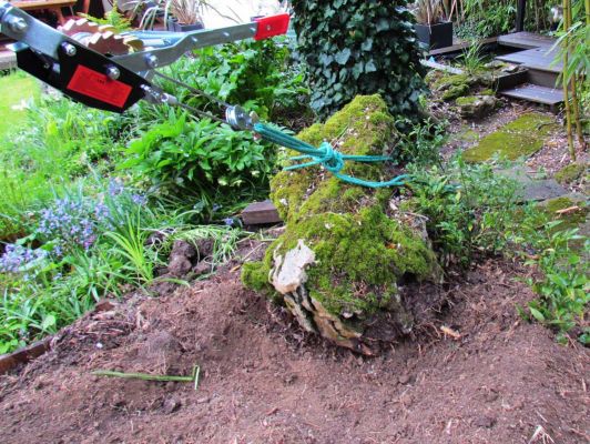 Location Tirefort 3200KG - Pleurtuit (35) et Plancoët (22)